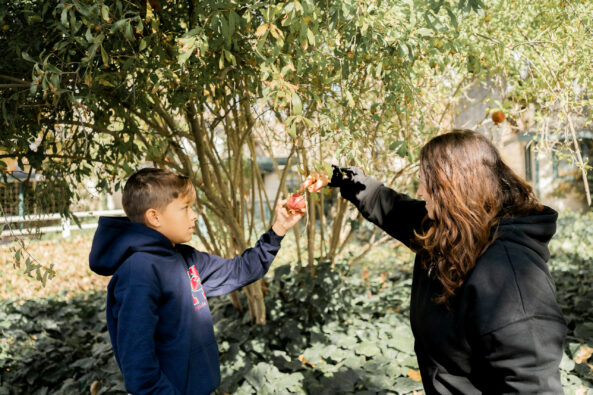 Outdoor Science Projects that Spark Creativity